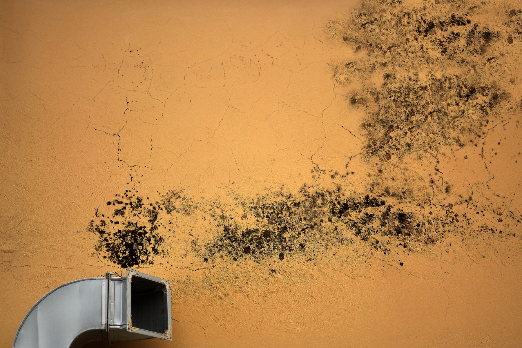 Fighting the Presence of Mold Affecting Your Building’s HVAC Unit